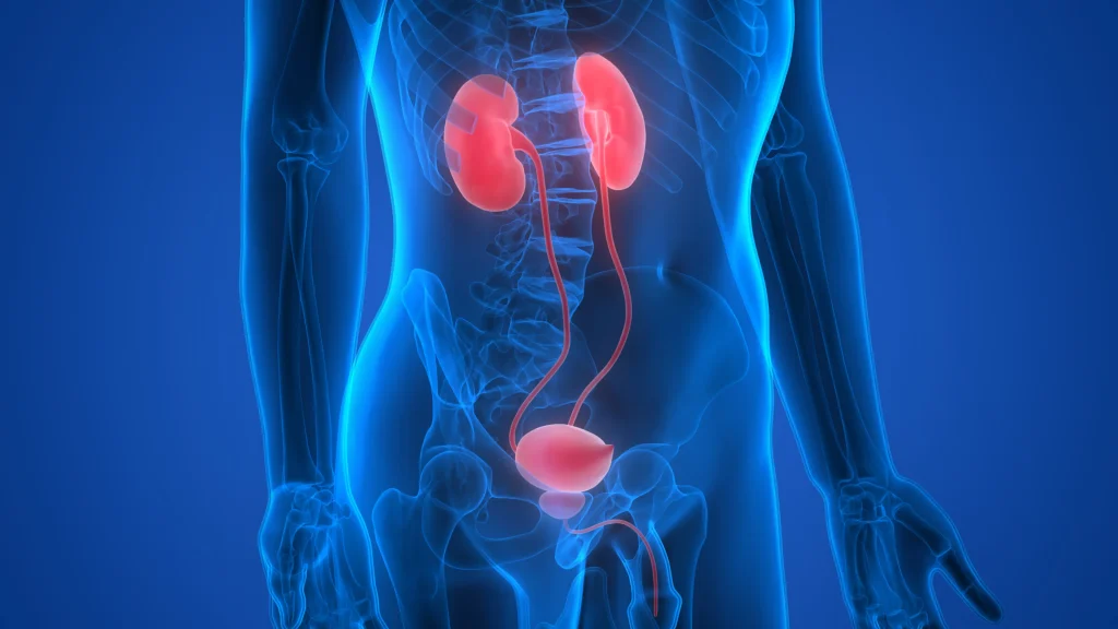 Urology - Temar Medical and Cardiac Hospital